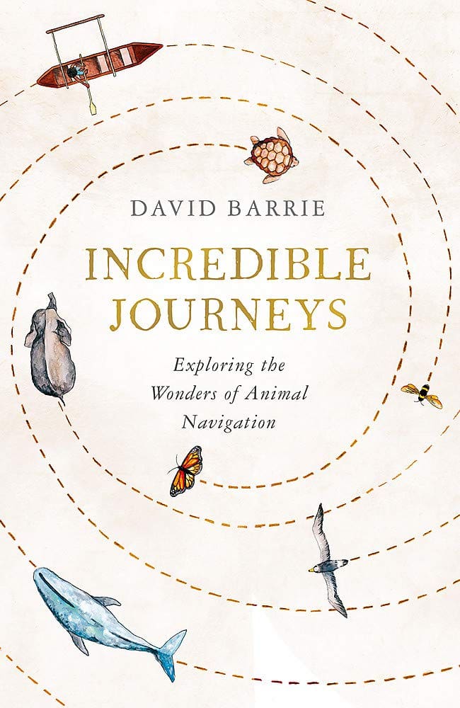 David Barrie - Felicity Bryan Associates